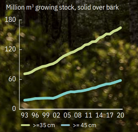Biodiversity in Holmen